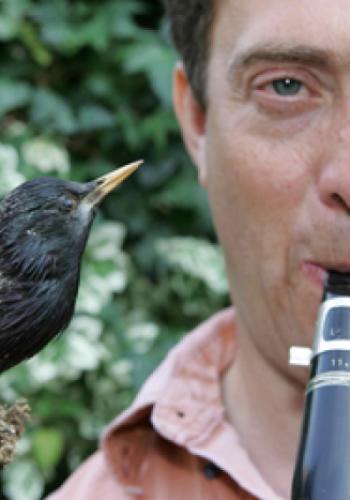 David Rothenberg | To The Best Of Our Knowledge