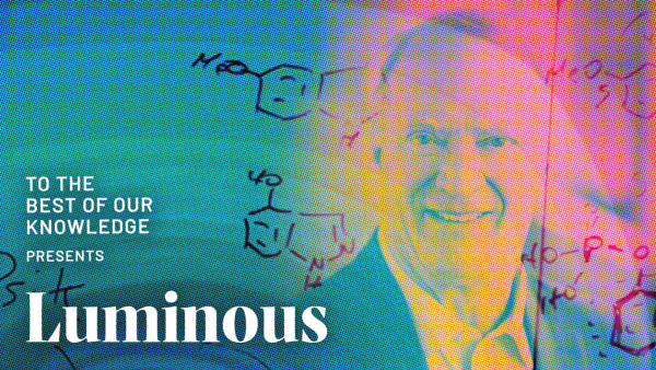 Luminous: Building The Psychedelic Revolution | To The Best Of Our ...