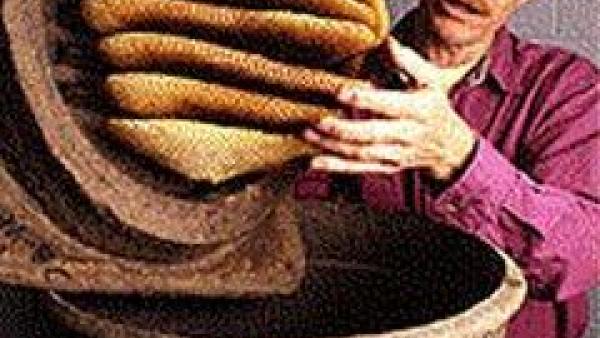 Justin O. Schmidt | To The Best Of Our Knowledge