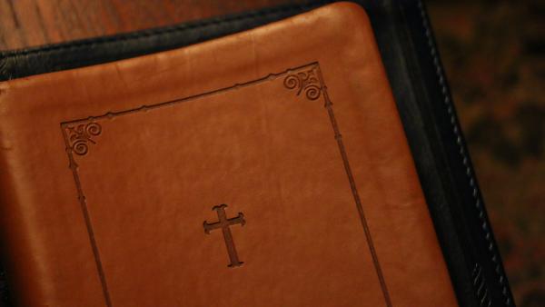 Original Sin | To The Best Of Our Knowledge
