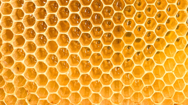 The Hidden Geometry of Everything | To The Best Of Our Knowledge