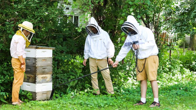 Bee_Visit.jpg | To The Best Of Our Knowledge