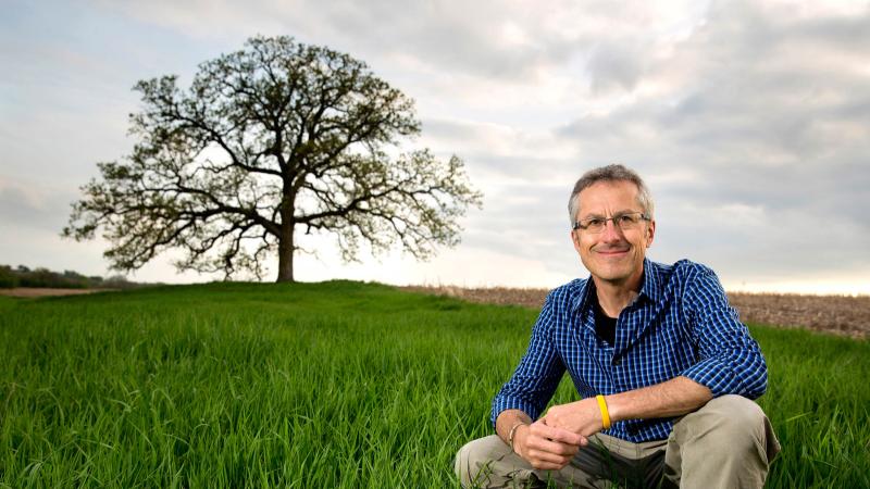 Mark_Hirsch_That_Tree_No_Camera.jpg | To The Best Of Our Knowledge