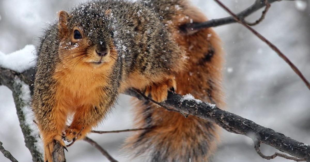 Dean Knetter - Journalist Profile - Intelligent Relations