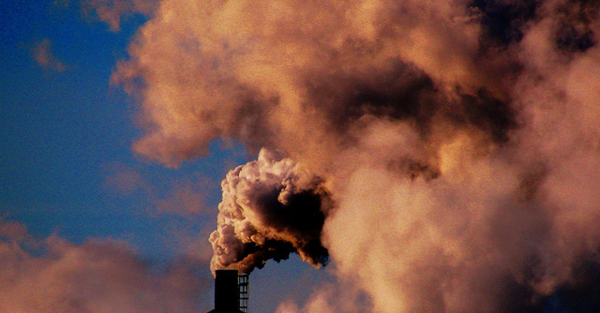 Studies Show Promising Mercury Pollution Results | Wisconsin Public Radio