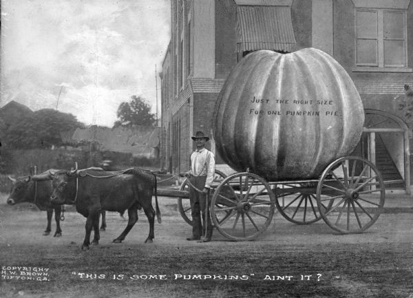 A Short History Of Pumpkins | Wisconsin Public Radio