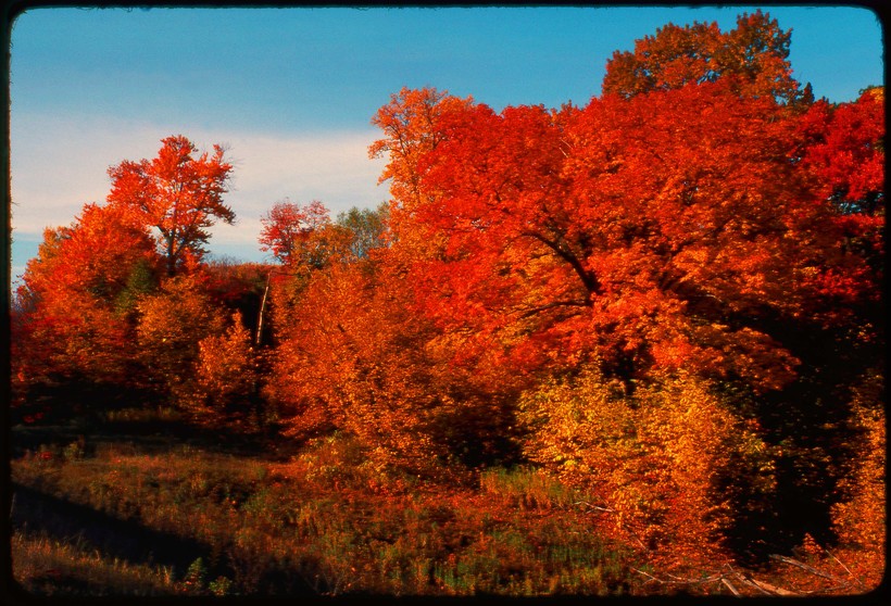 Finding The Best Fall Foliage In Wisconsin | Wisconsin Public Radio